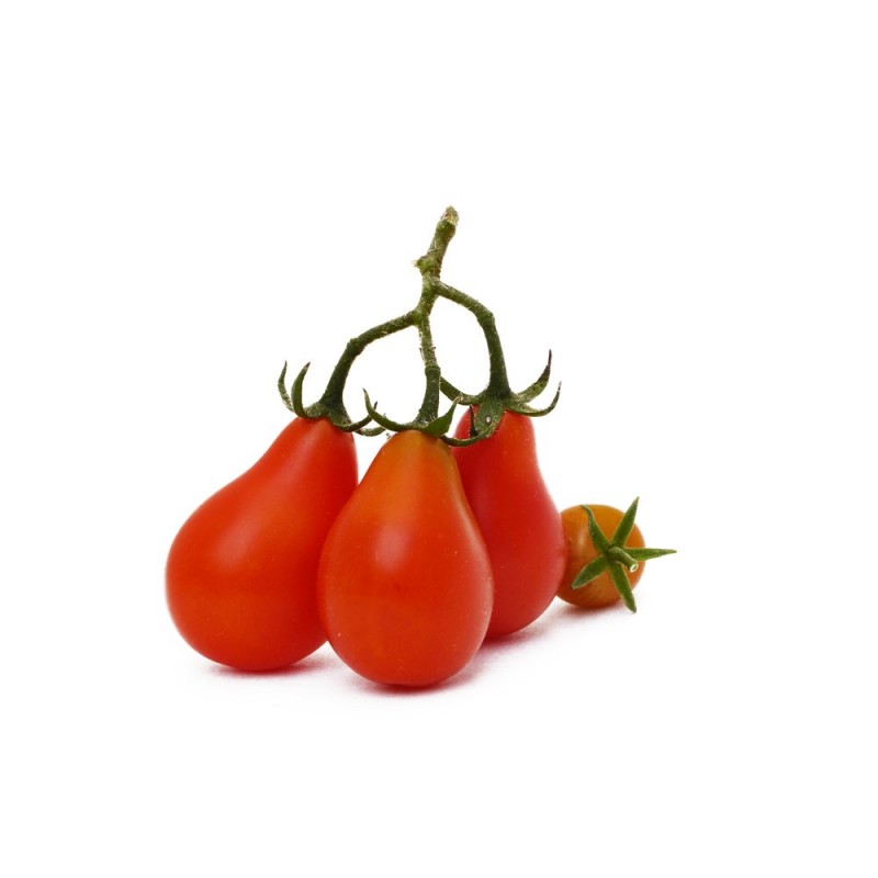 tomate-pera-m-11.jpg