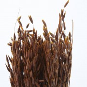 1 de 3